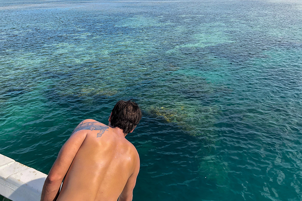 parcel das paredes abrolhos recifes navegar – Natura Ecoturismo